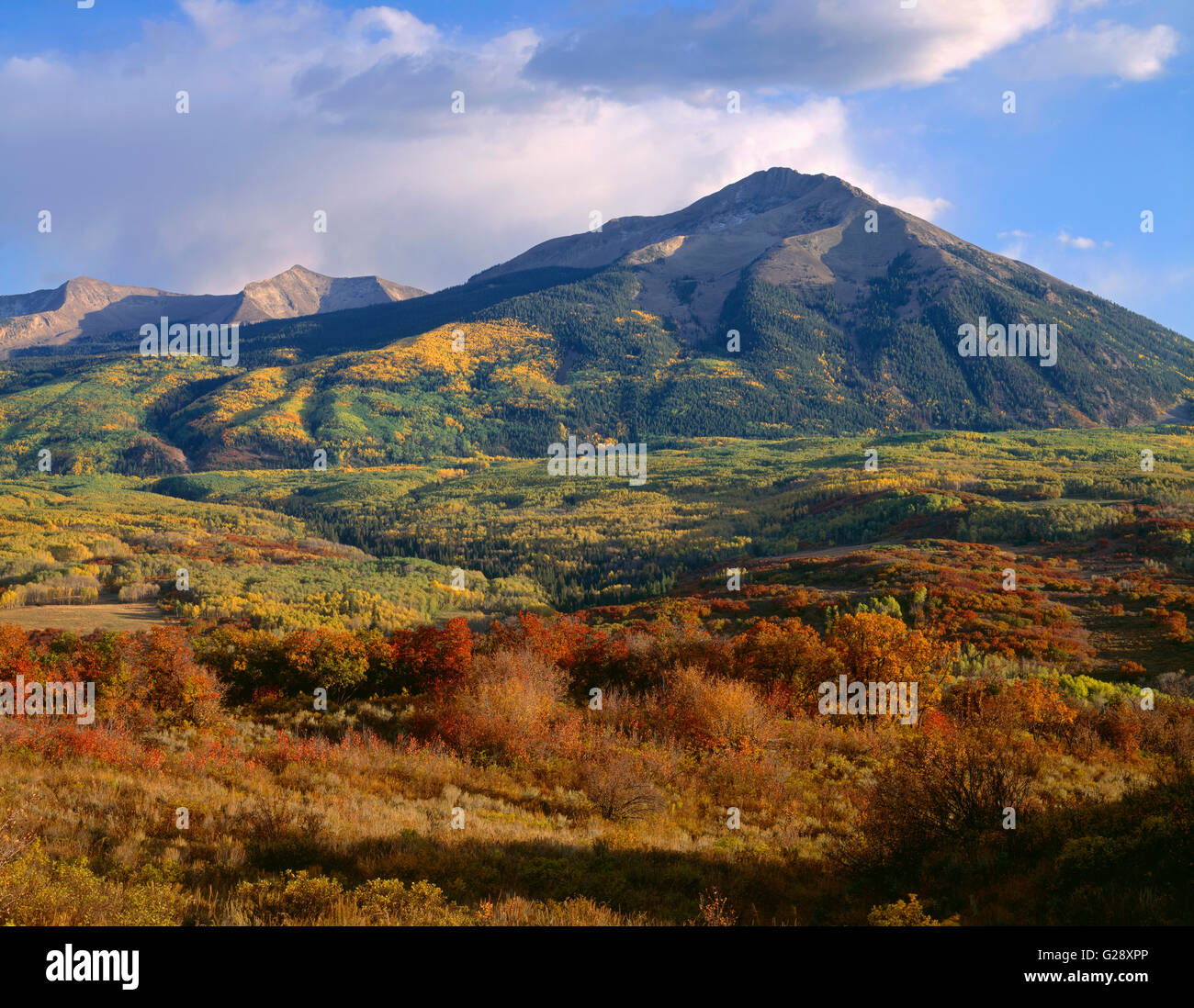 Fall colors at gunnison national forest hi-res stock photography and ...
