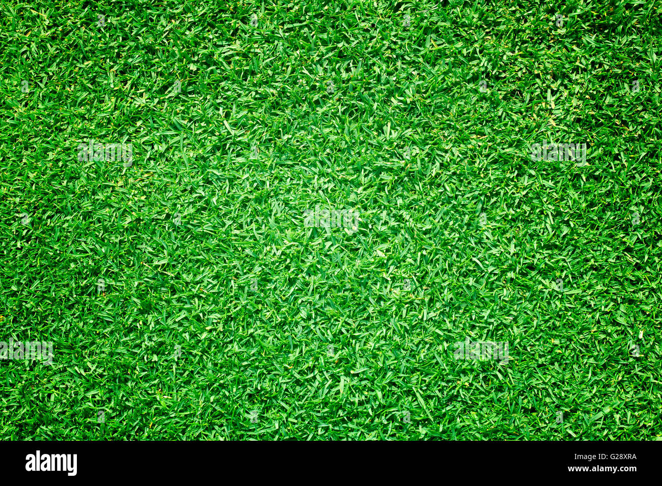 Golf Courses green lawn pattern textured background Stock Photo - Alamy