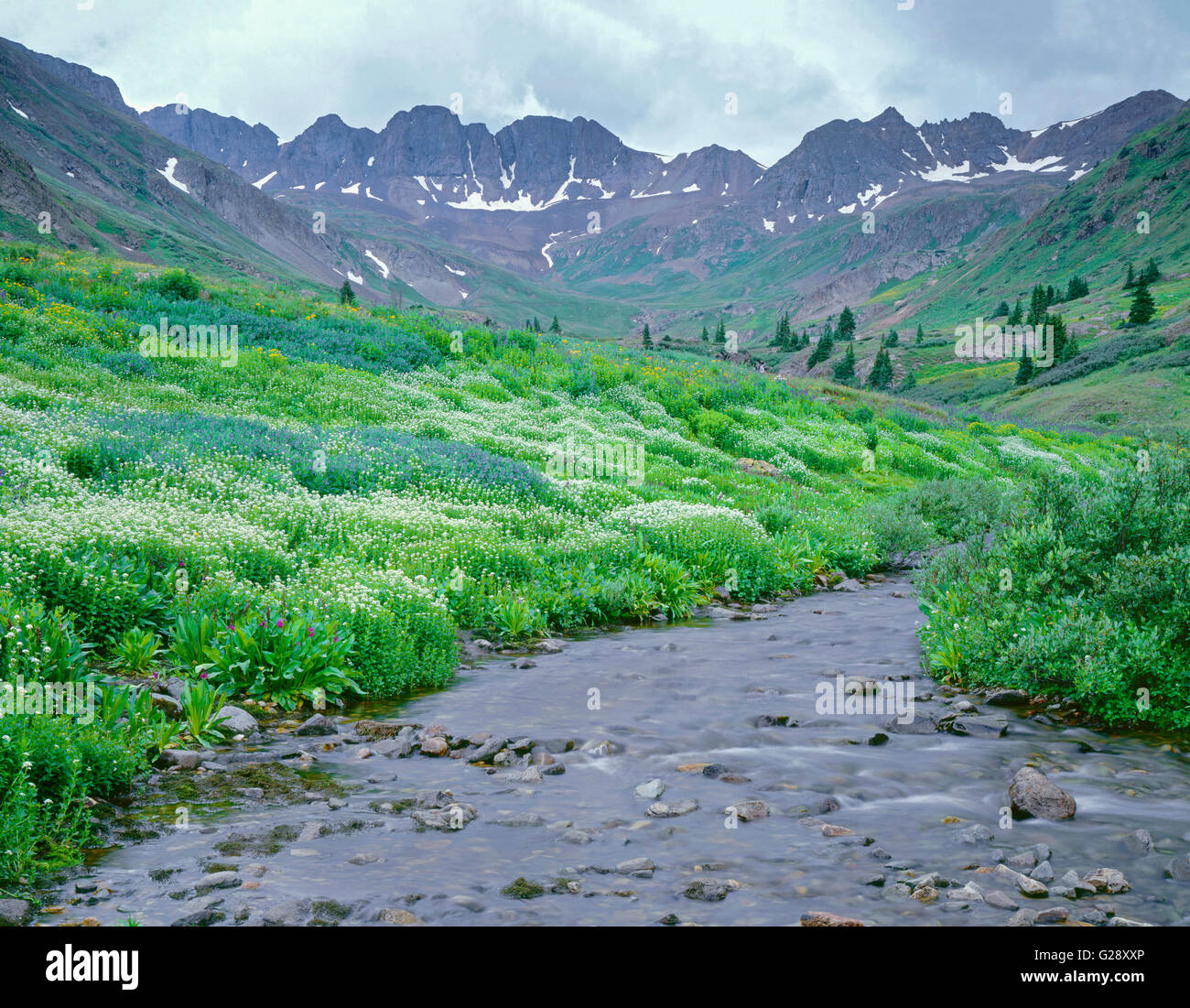 USA, Colorado, San Juan Mountains, American Peak and surrounding ...