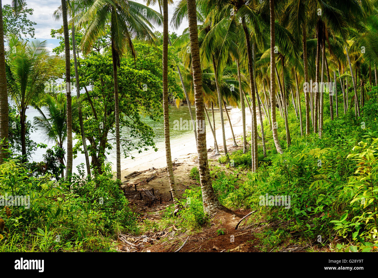 Barracuda beach on Kadidiri island. Togean Islands or Togian Islands in ...