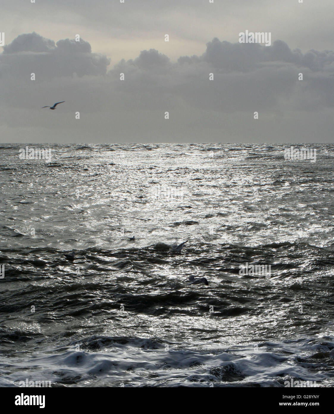 Weather selsey waves hi-res stock photography and images - Alamy