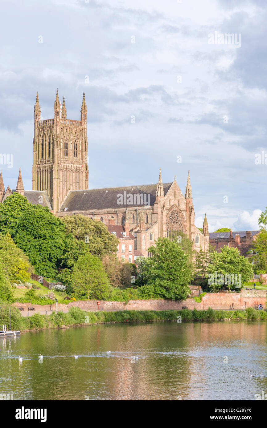 Worcester Cathedral on the River Severn, Worcester, Worcestershire ...