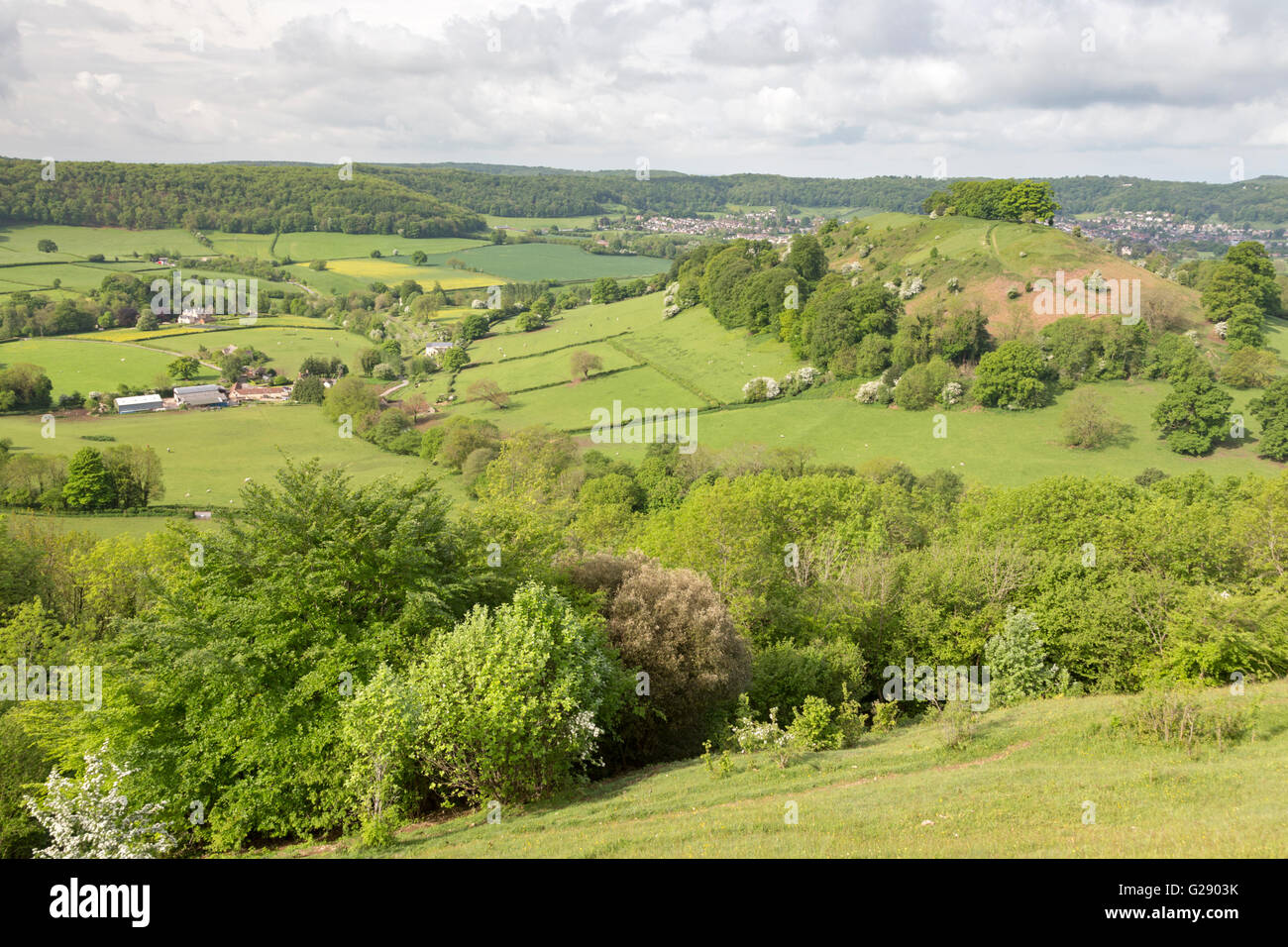 The tree topped Downham Hill in springtime from Uley Bury hillfort near ...