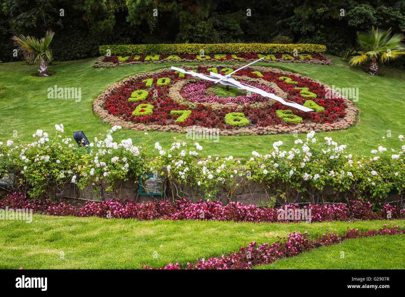 A decorative floral clock in a small park in Vina del Mar, Chile, South ...