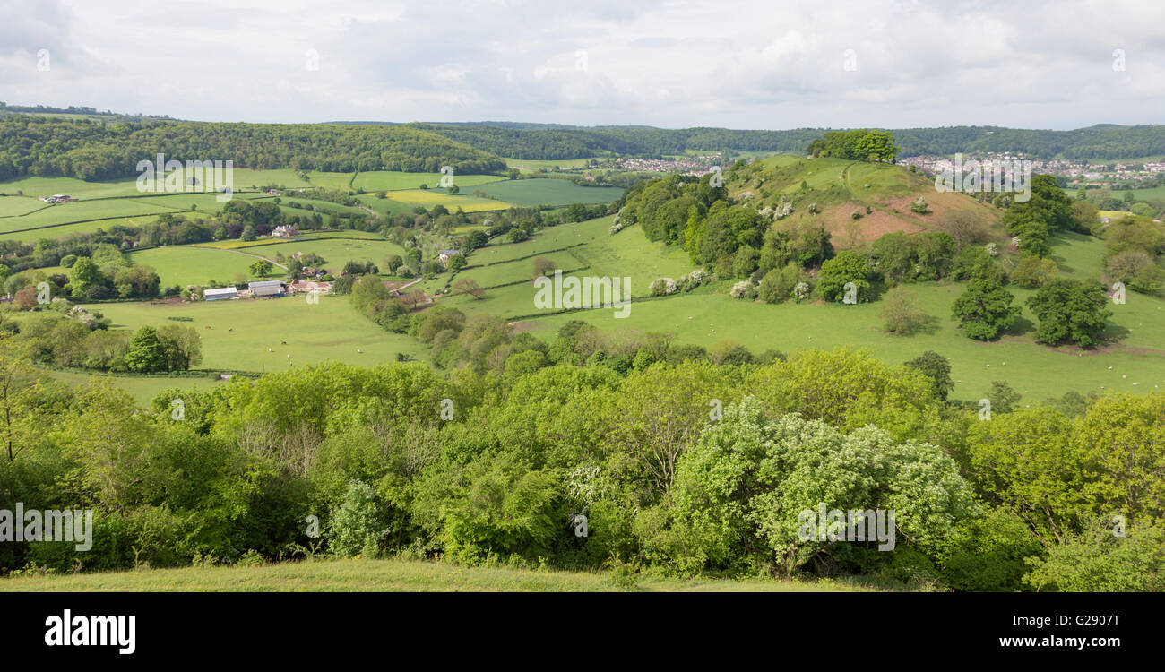 The tree topped Downham Hill in springtime from Uley Bury hillfort near ...