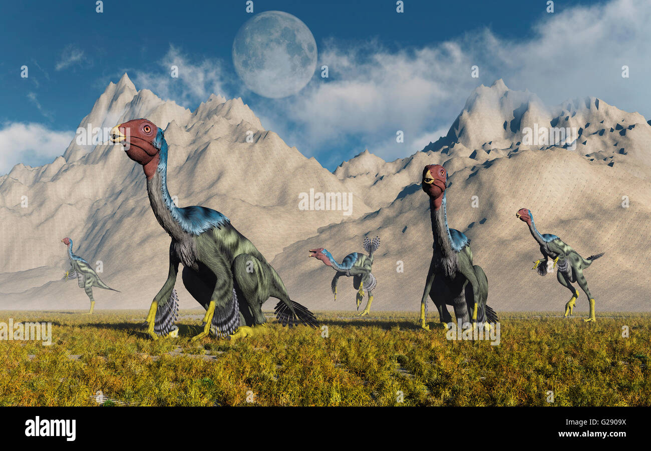 Feathered theropod dinosaurs hi-res stock photography and images - Alamy