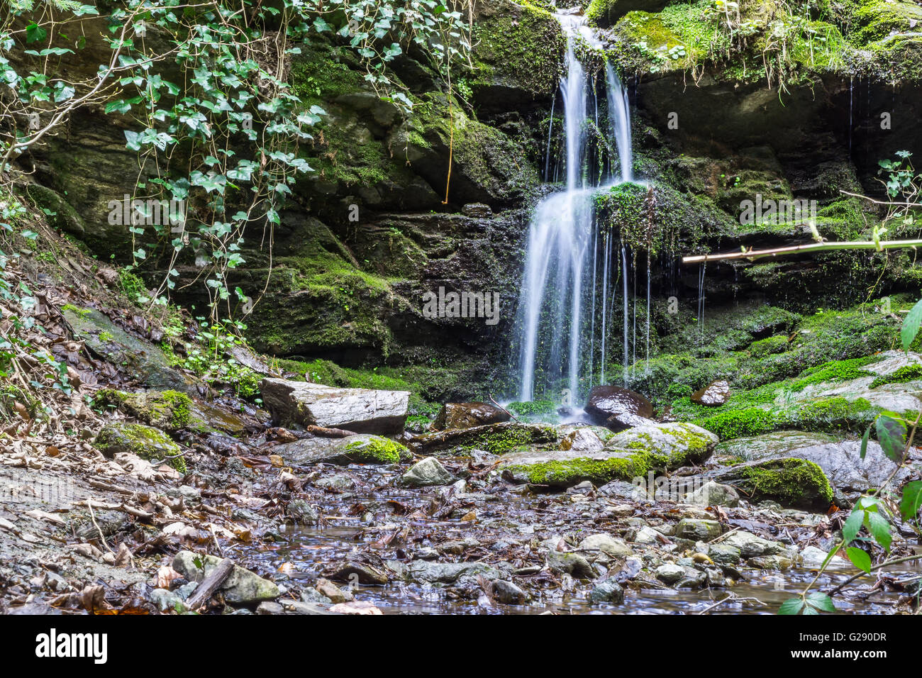 Little Waterfall in the Forest Stock Photo - Alamy