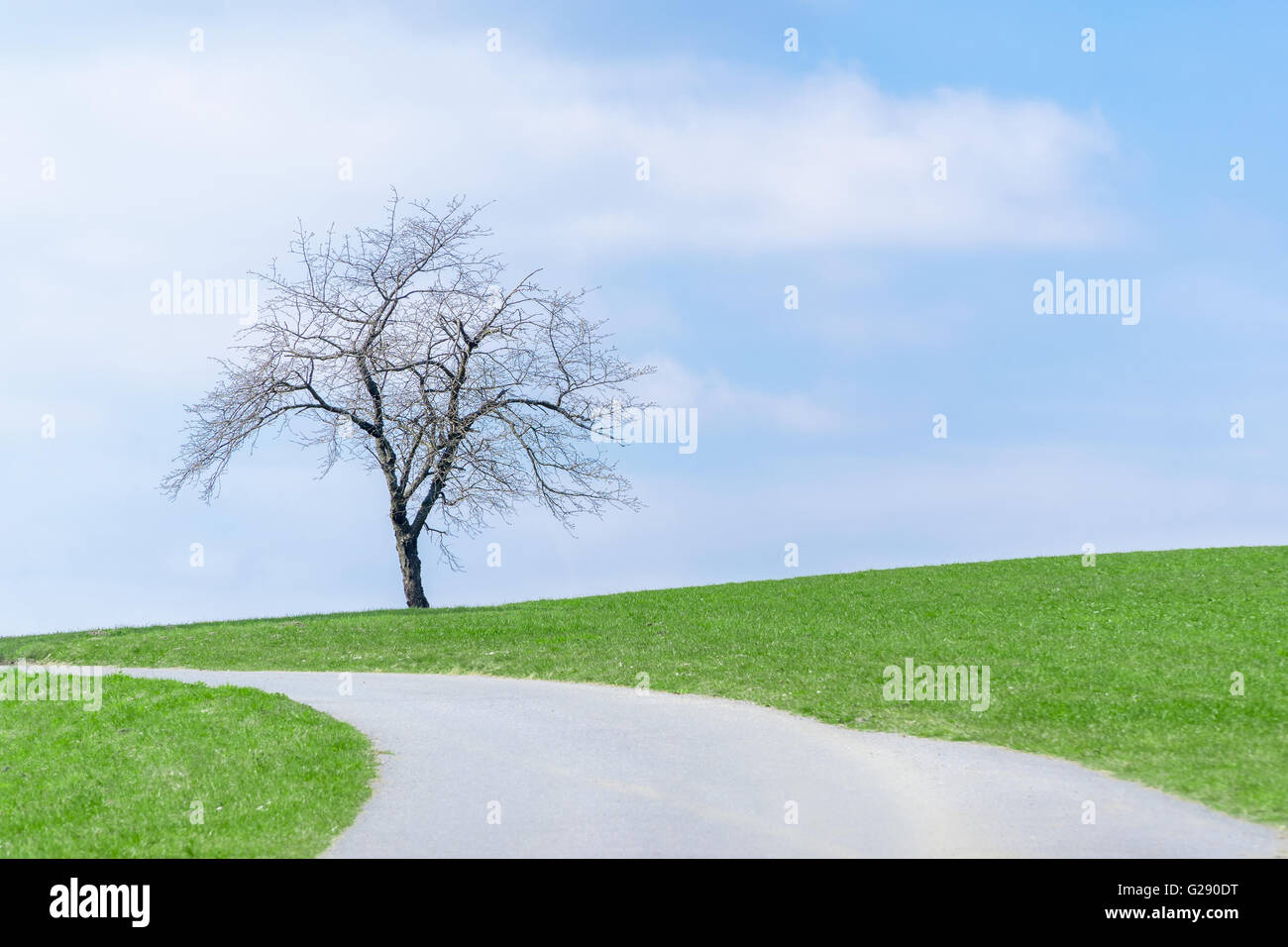 Greenfield grass hi-res stock photography and images - Alamy