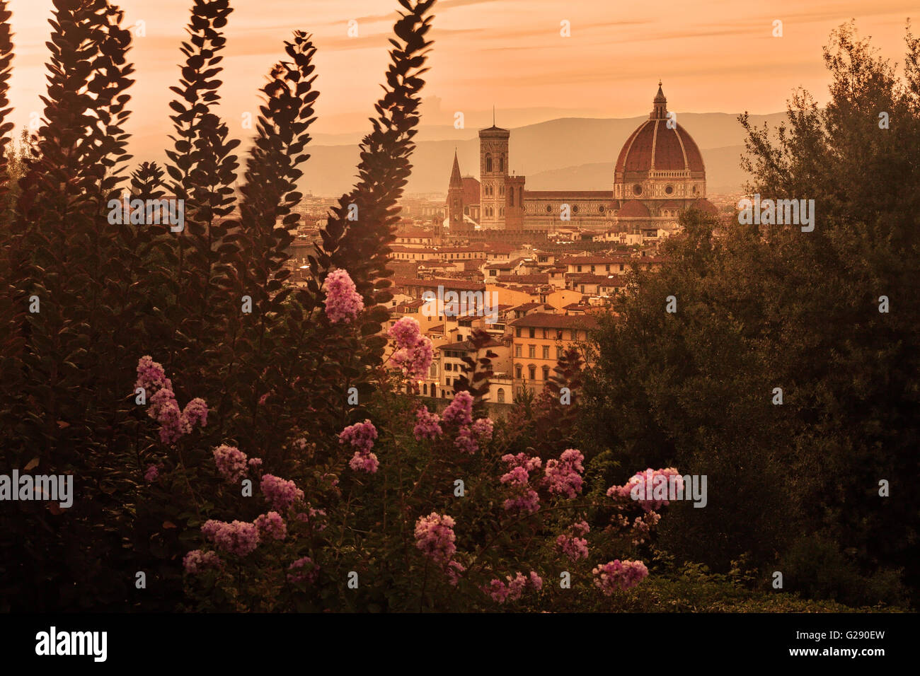 Italy: Florence's Cathedral at sunset Stock Photo - Alamy