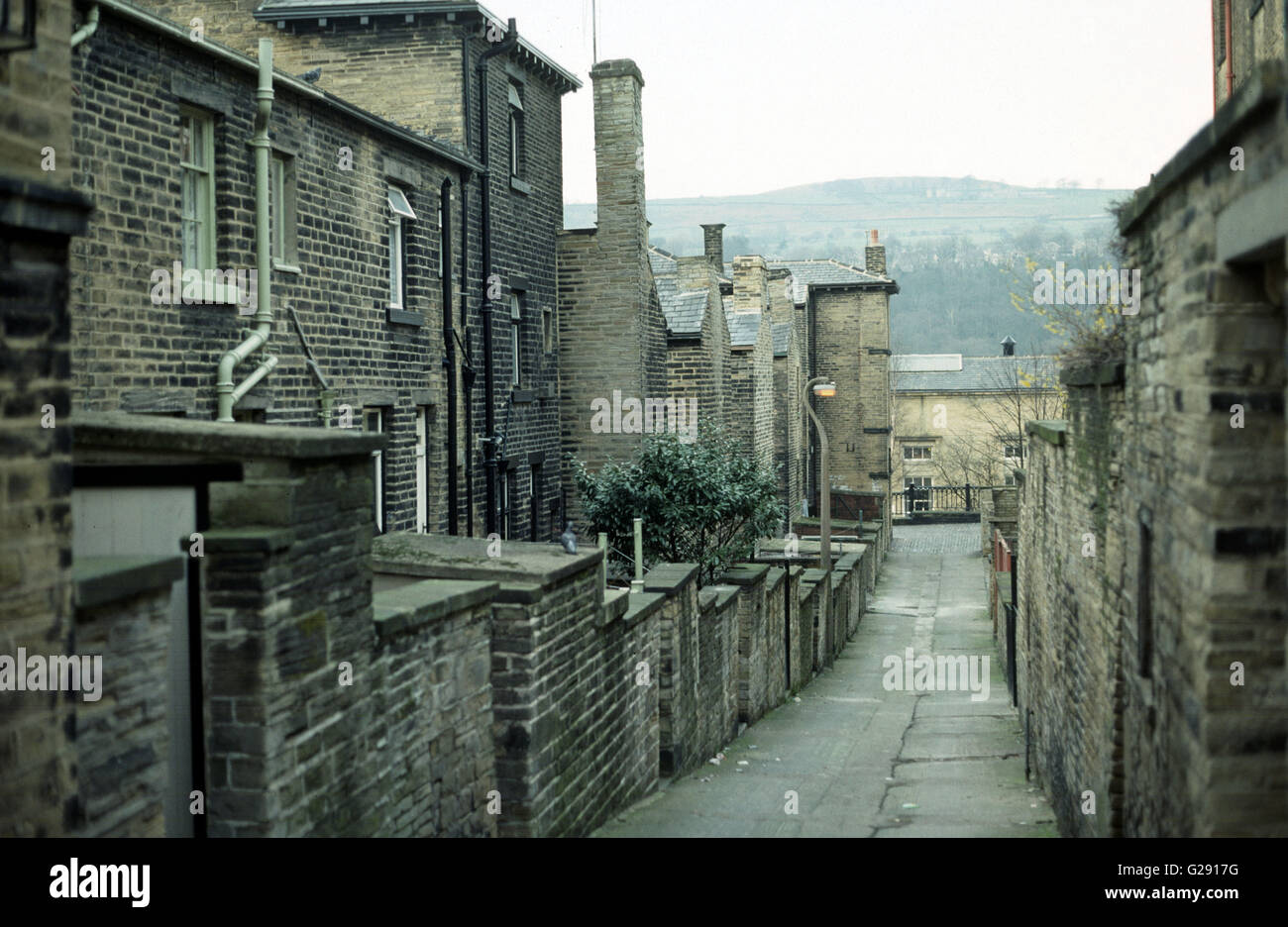 Classic back to back homes terraces who share a rear wall ill lit ...