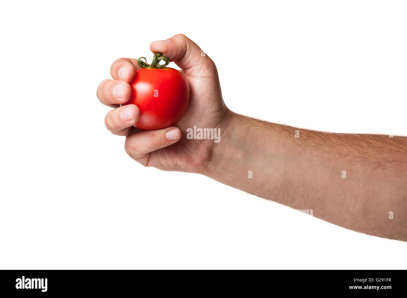 A hand holding a tomato like is a bomb detonator, isolated on a white ...