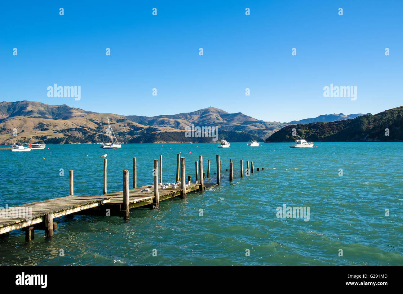 Akaroa wharf christchurch new zealand hi-res stock photography and ...