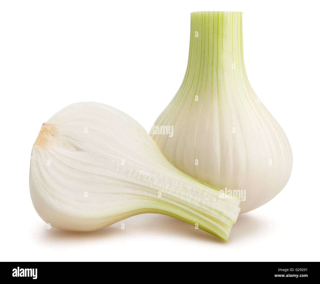 white onion isolated Stock Photo - Alamy