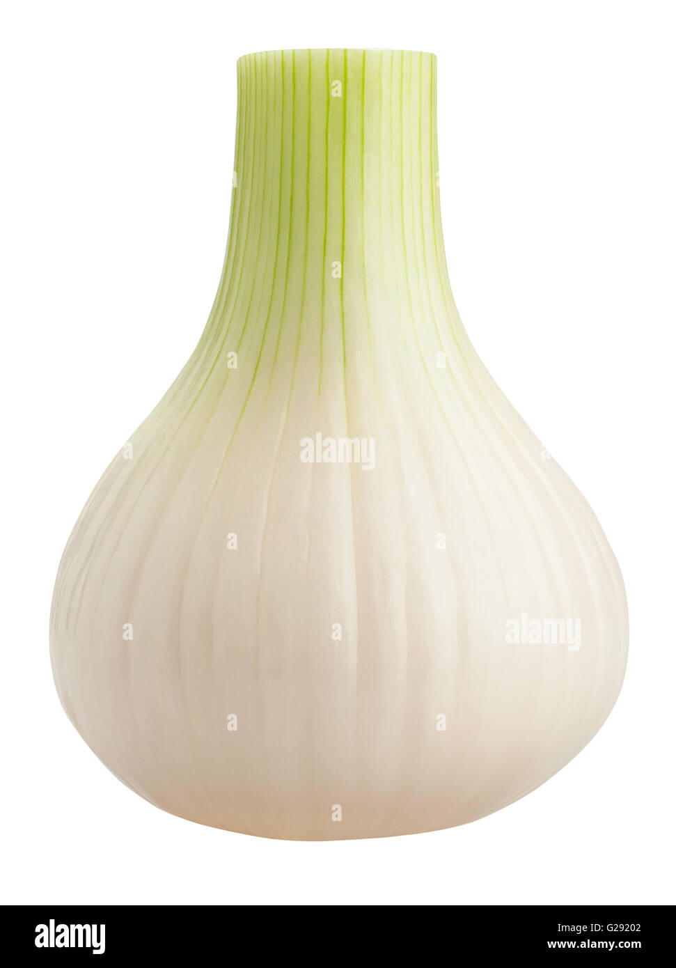 Onion plant isolated hi-res stock photography and images - Alamy