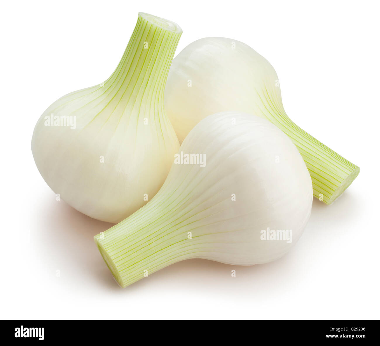 white onion isolated Stock Photo - Alamy