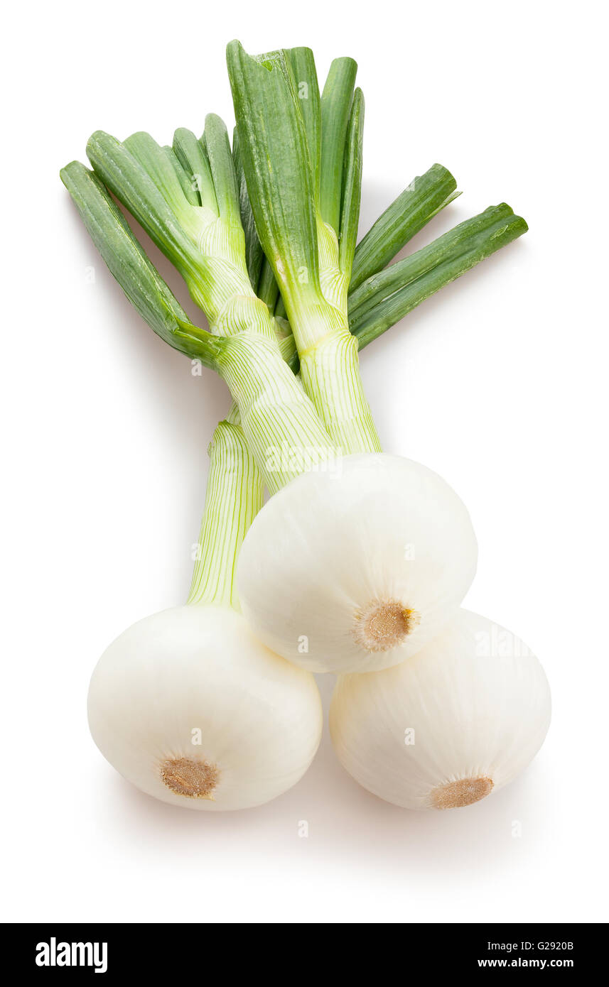 white onion isolated Stock Photo - Alamy