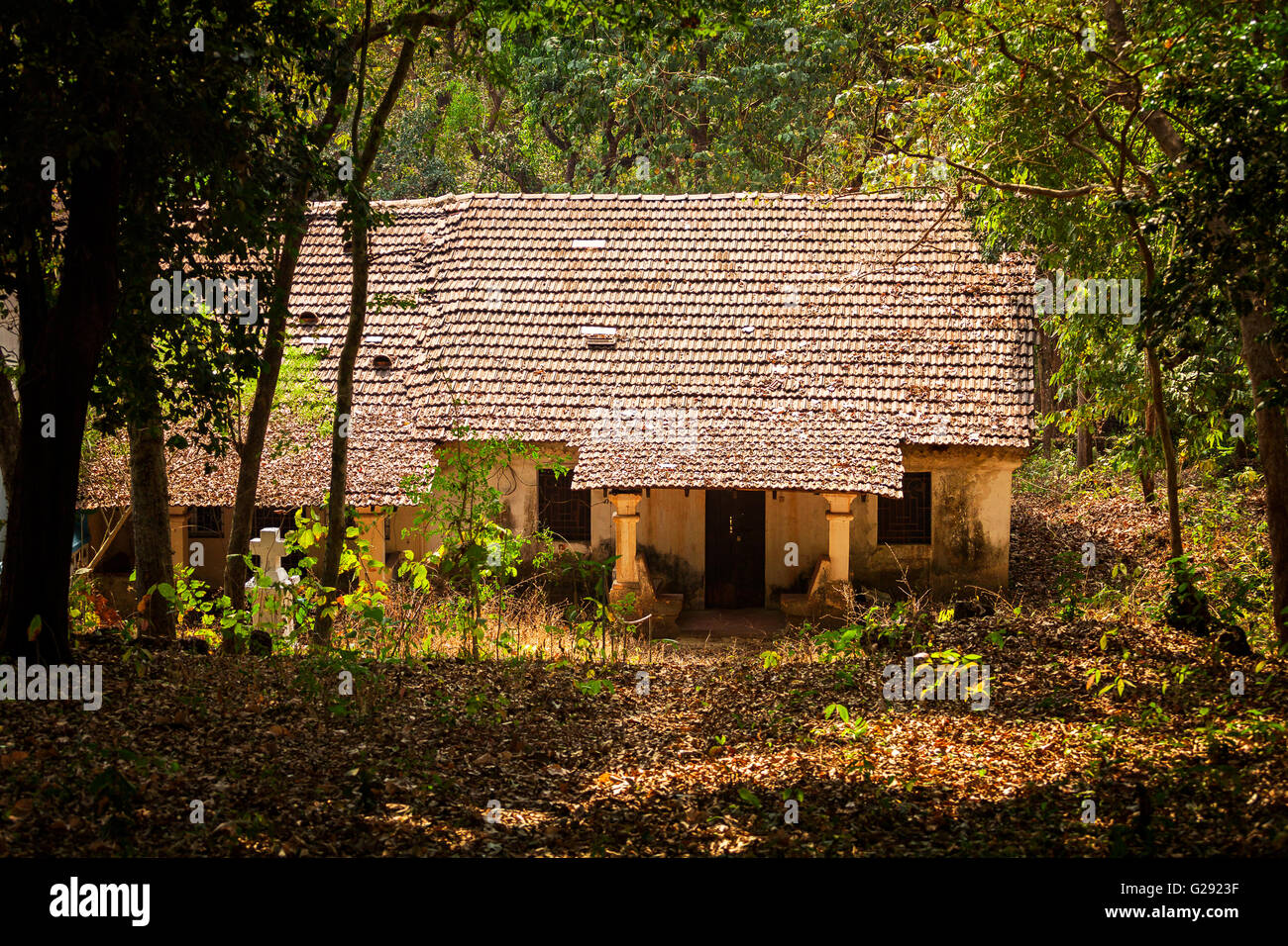 abandoned jungle house goa india Stock Photo - Alamy