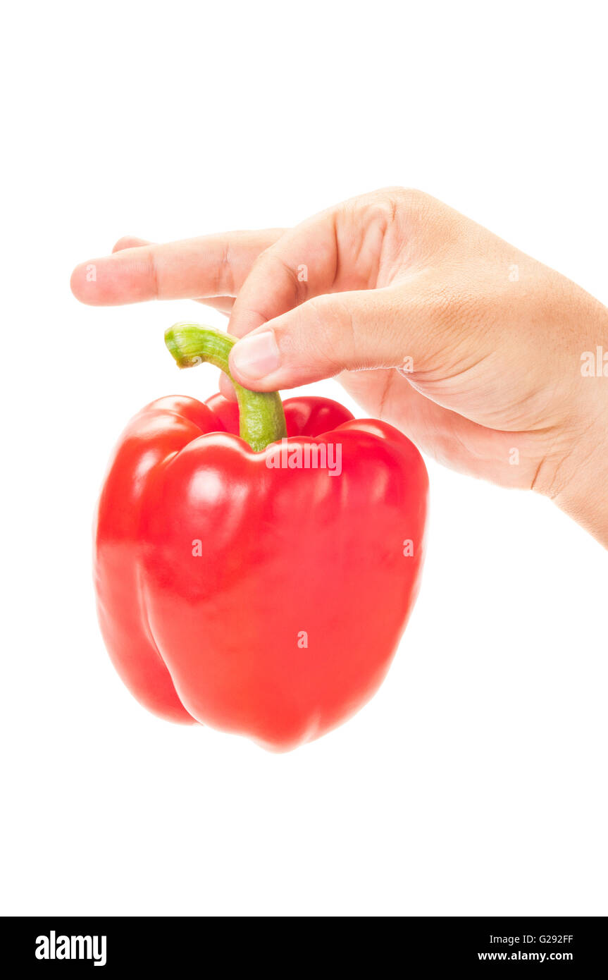 White male hand holding a big fresh red pepper by the tail isolated on ...