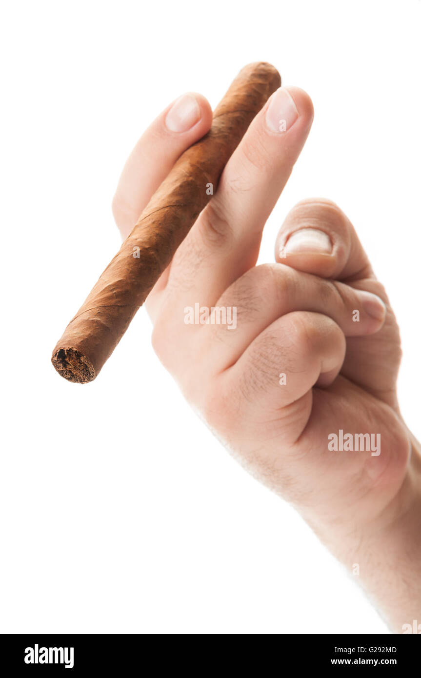 Hand holding an original cuban rolled cigar on white background Stock ...