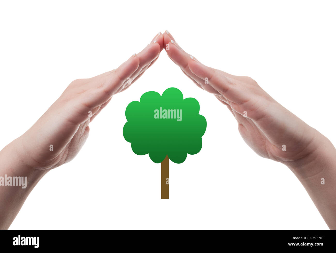 Hands protecting a tree. Protect the nature concept isolated on white ...