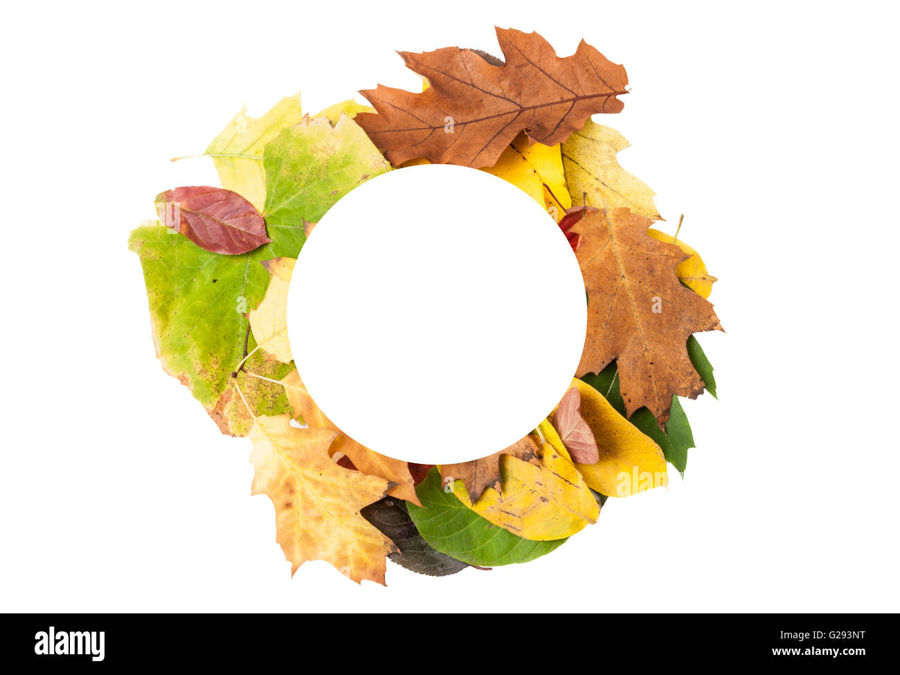 Round autumn frame with white copy space in the center Stock Photo - Alamy