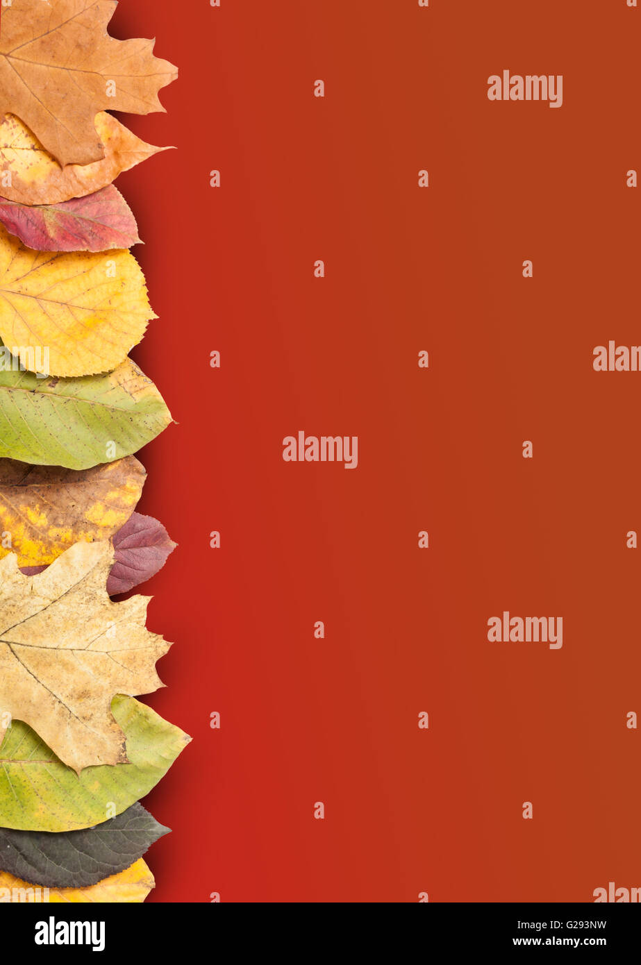 Autumn frame with leaves on the left side Stock Photo - Alamy