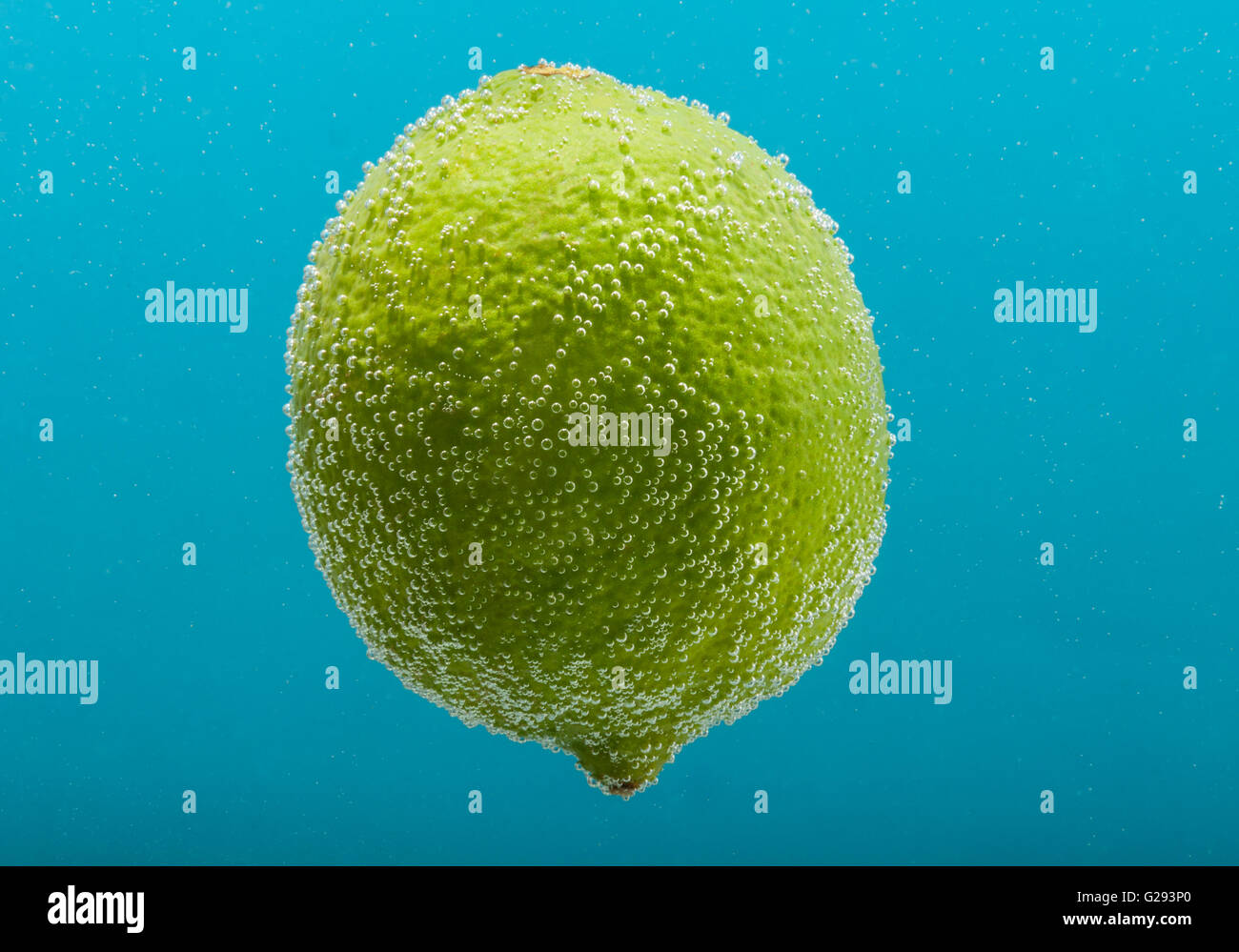 Lime in water with bubbles and blue background Stock Photo - Alamy