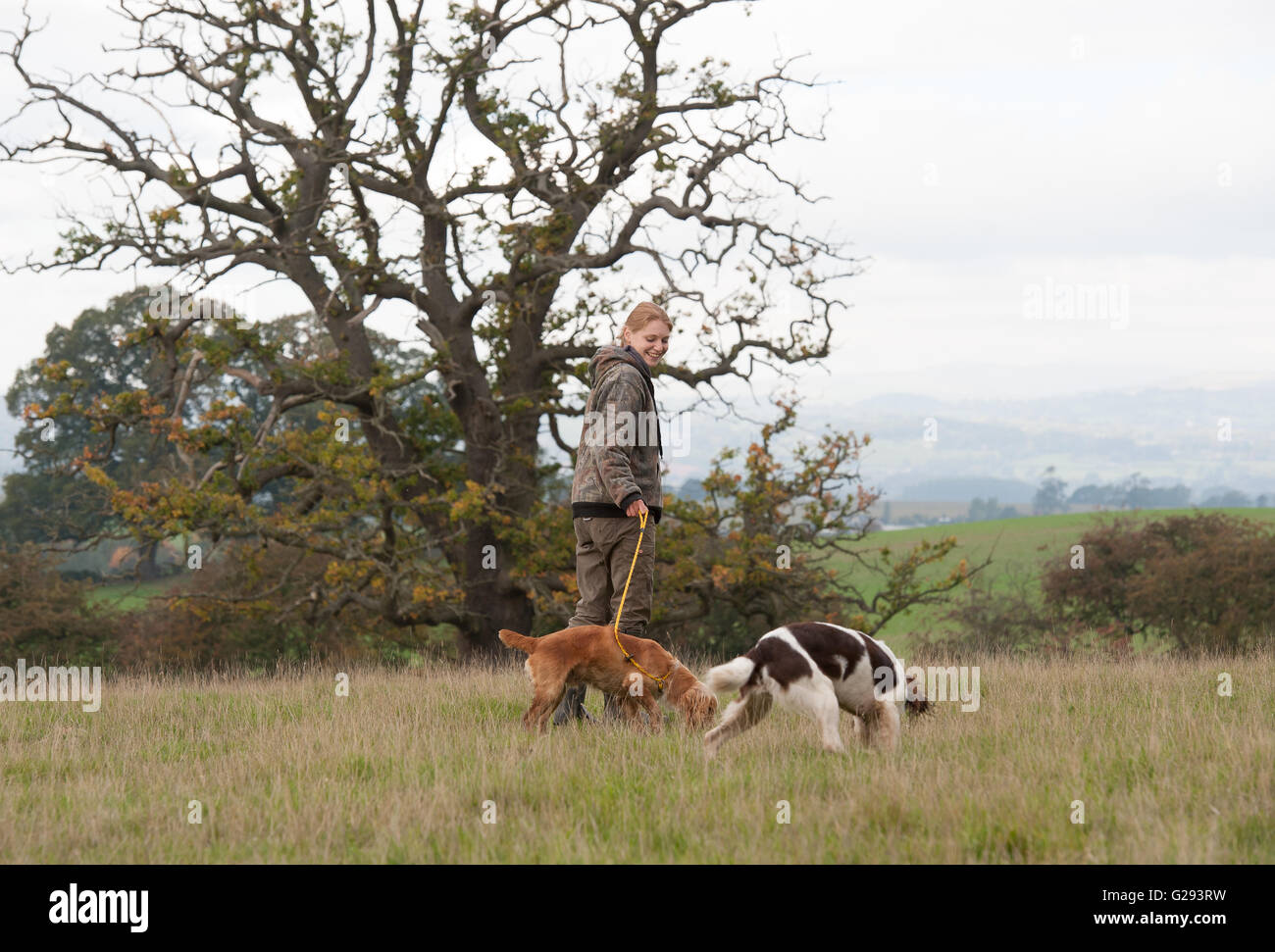 girl with cocker spaniel Stock Photo - Alamy