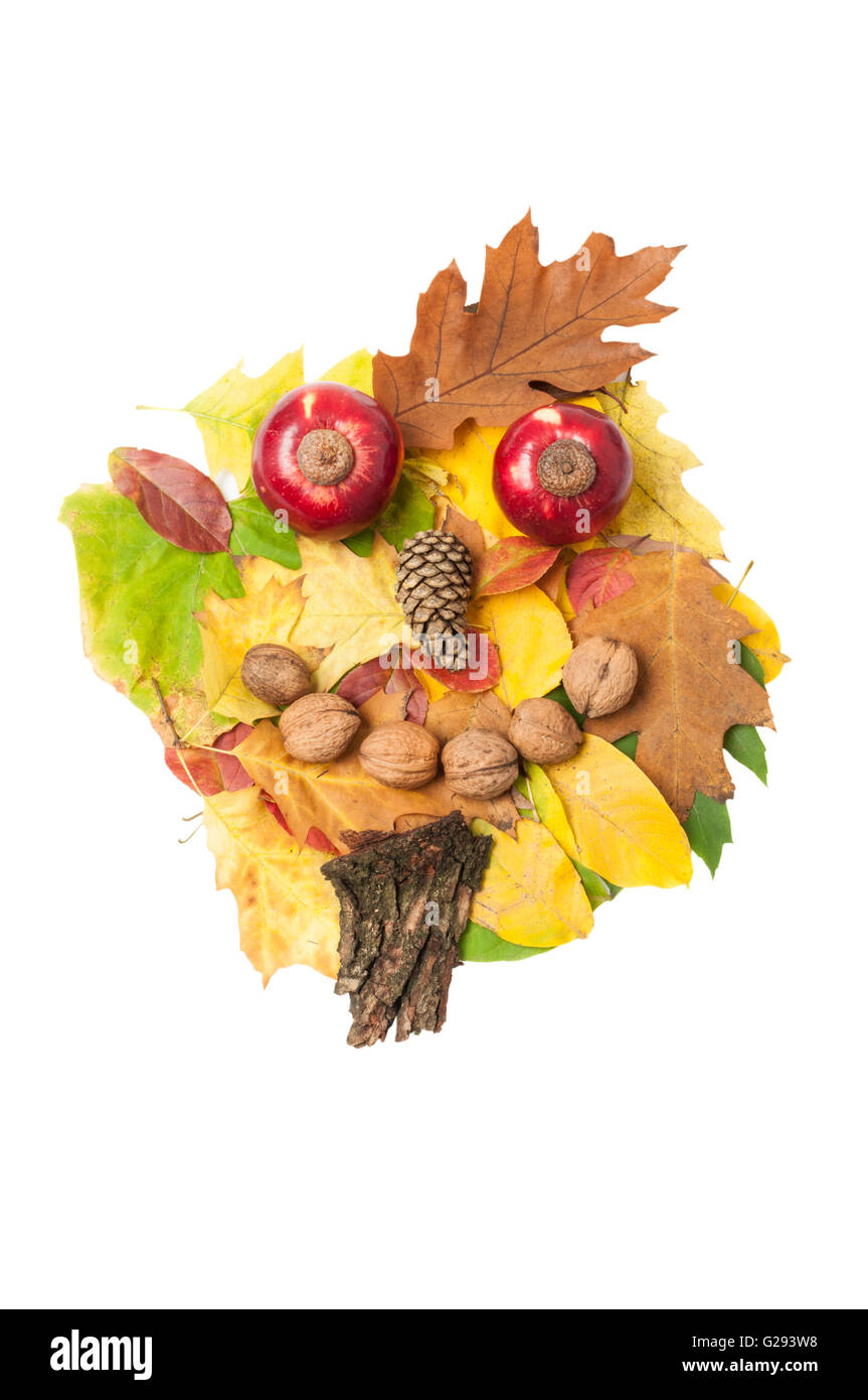 Face made of leaves Cut Out Stock Images & Pictures - Alamy