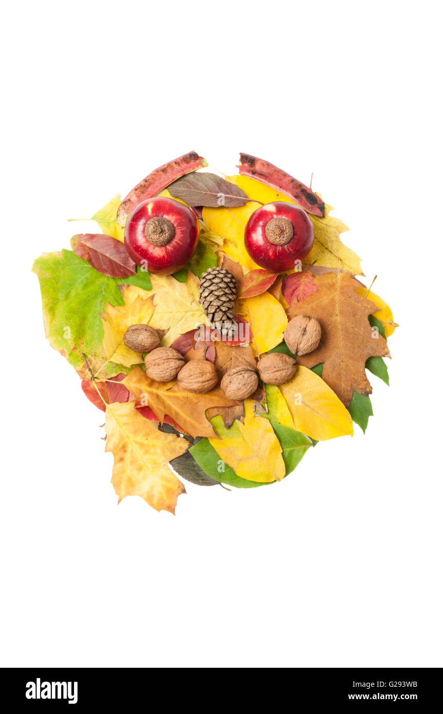 Sad face made of autumn fall leaves and fall decorations isolated on ...