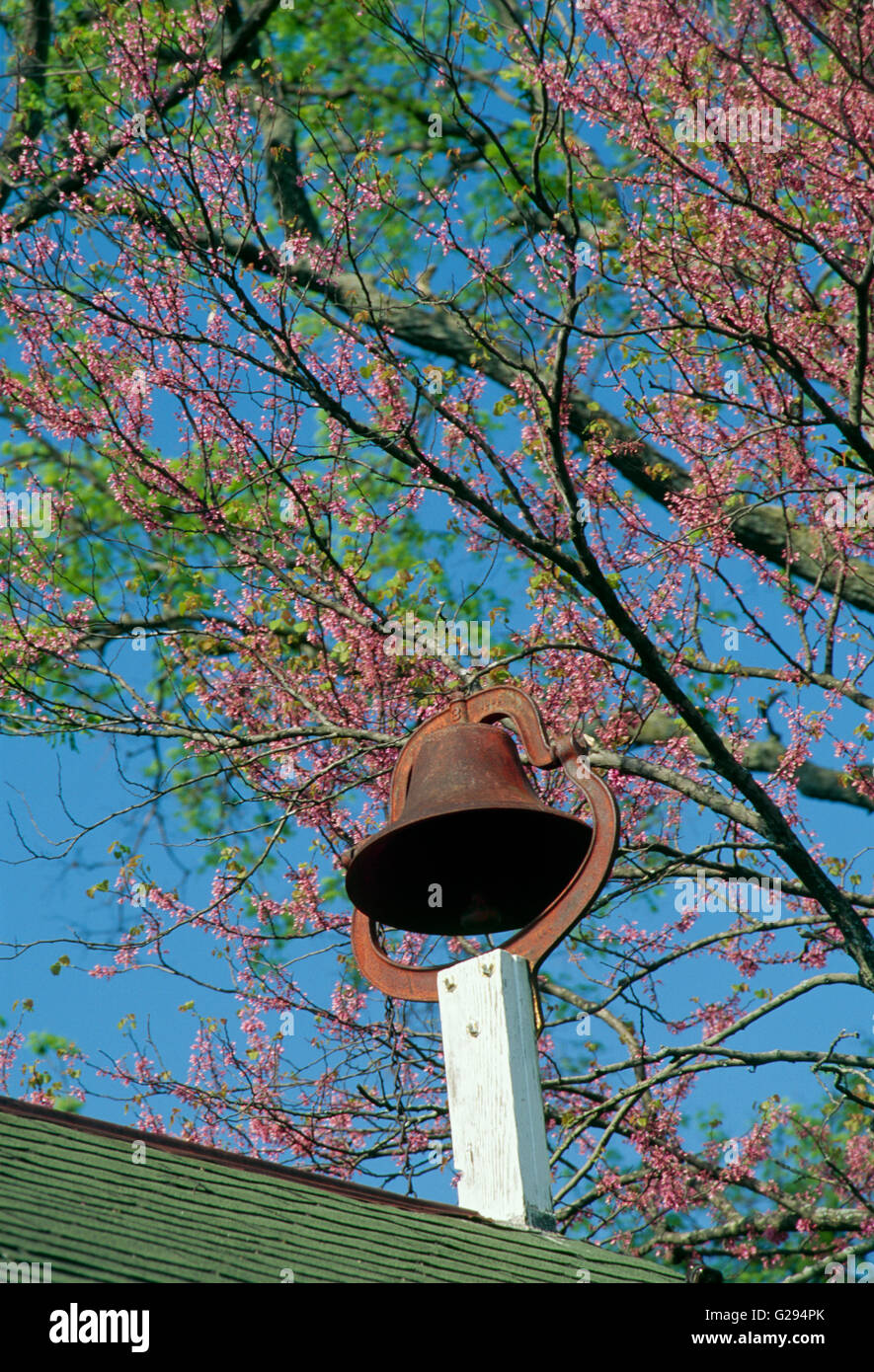 Rusty antique bell on school house roof with blue sky and blooming ...