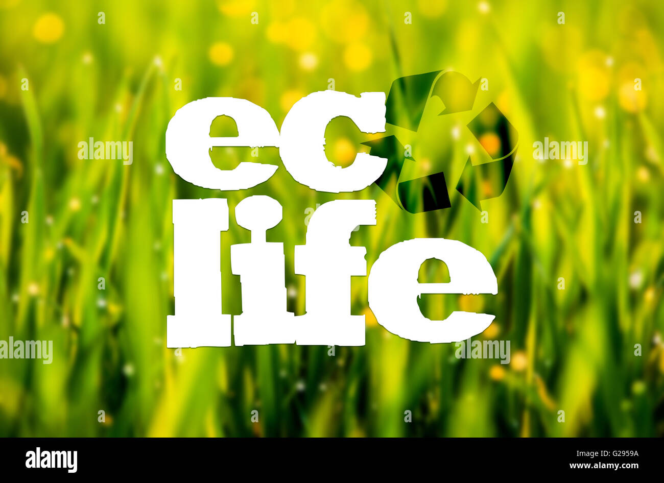 Eco Life life text and recycling sign or symbol over green grass ...