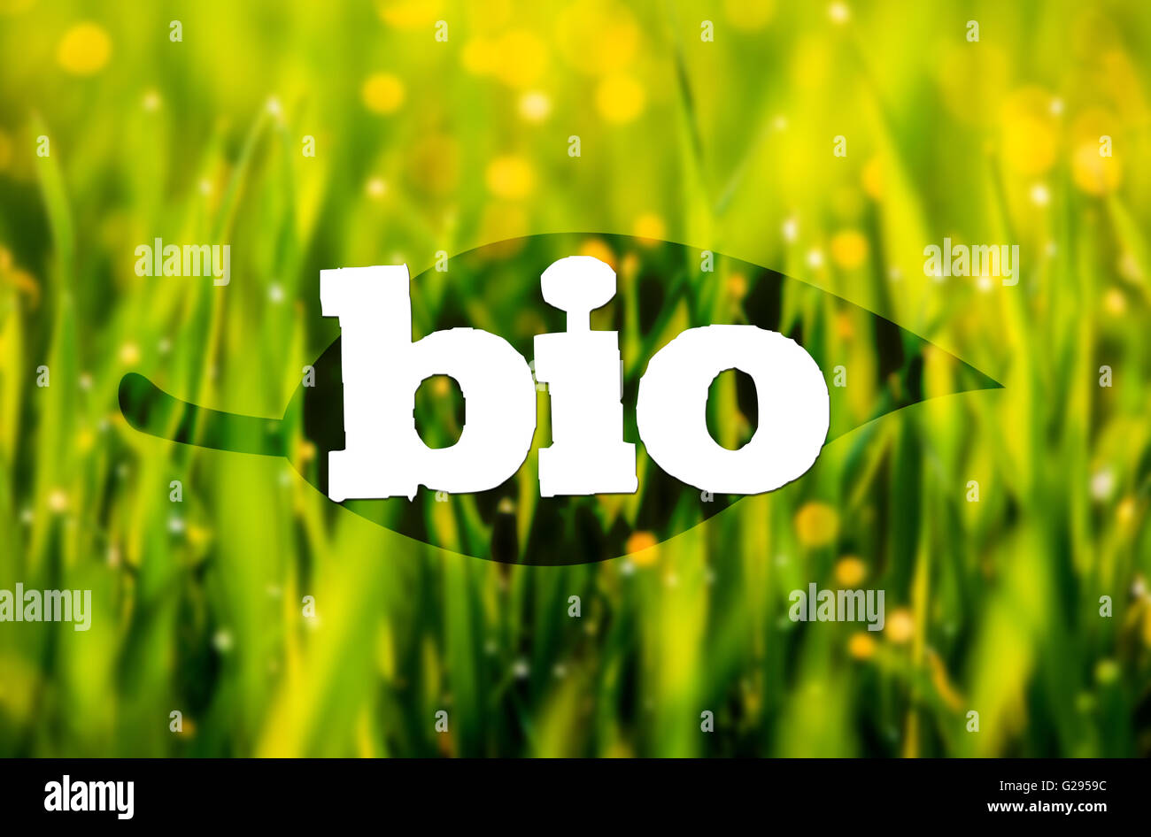 Bio concept text written on transparent leaf and green grass background ...