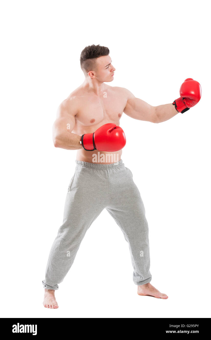 Boxer challanging and opponent isolated on white background Stock Photo ...