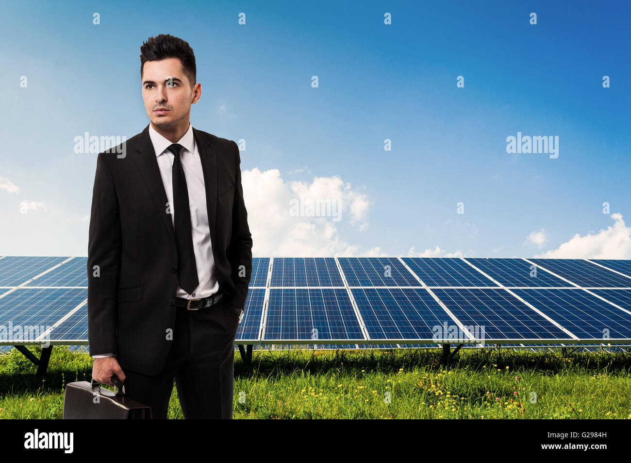 Salesman or businessman holding briefcase on solar power panels ...