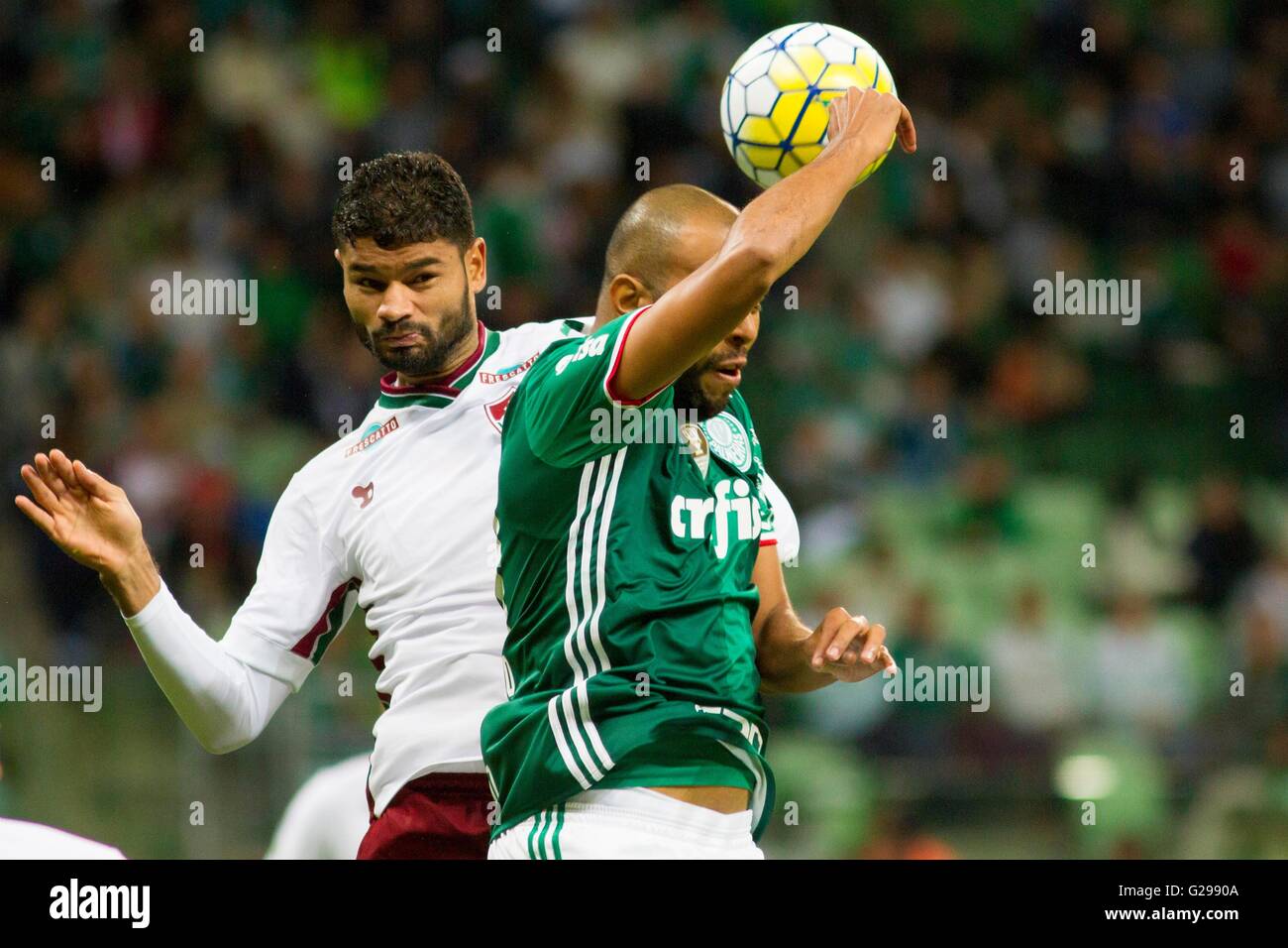 SAO PAULO, Brazil - 05/25/2016: PALM X FLUMINENSE - Gum and Alecsandro ...