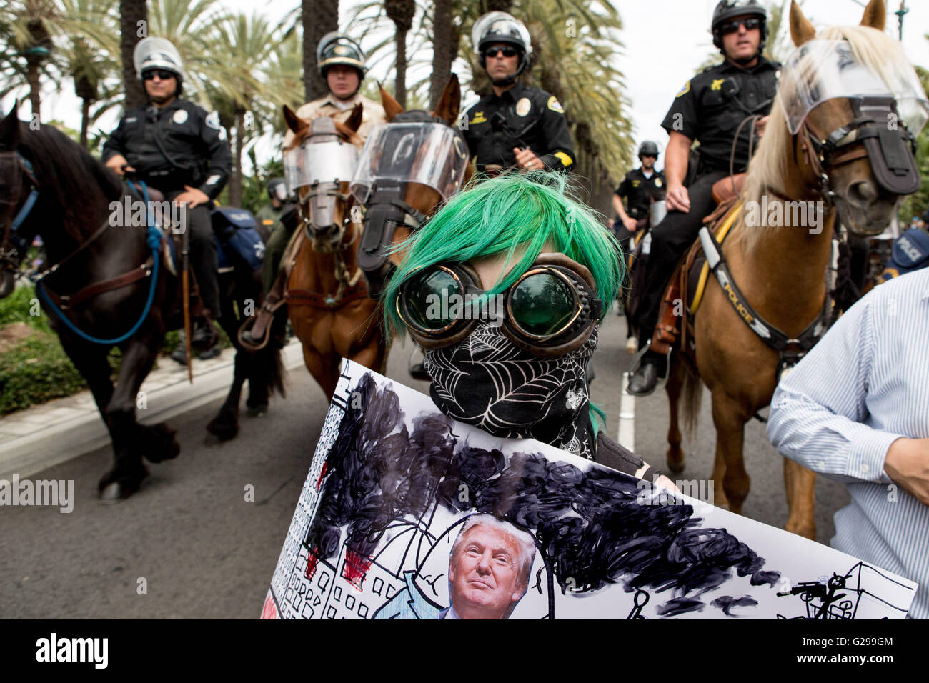 Police horses in riot gear hi-res stock photography and images - Alamy