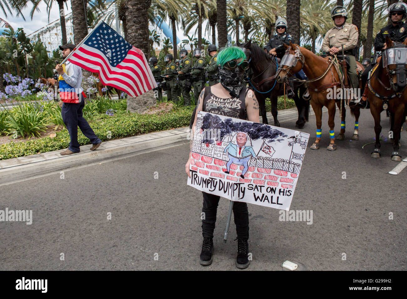 Police horses in riot gear hi-res stock photography and images - Alamy