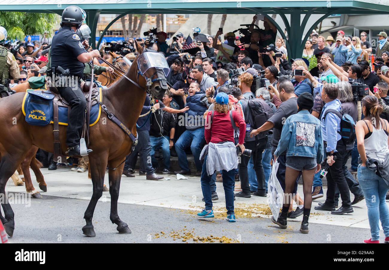 Police forcing the people to move Stock Photo - Alamy