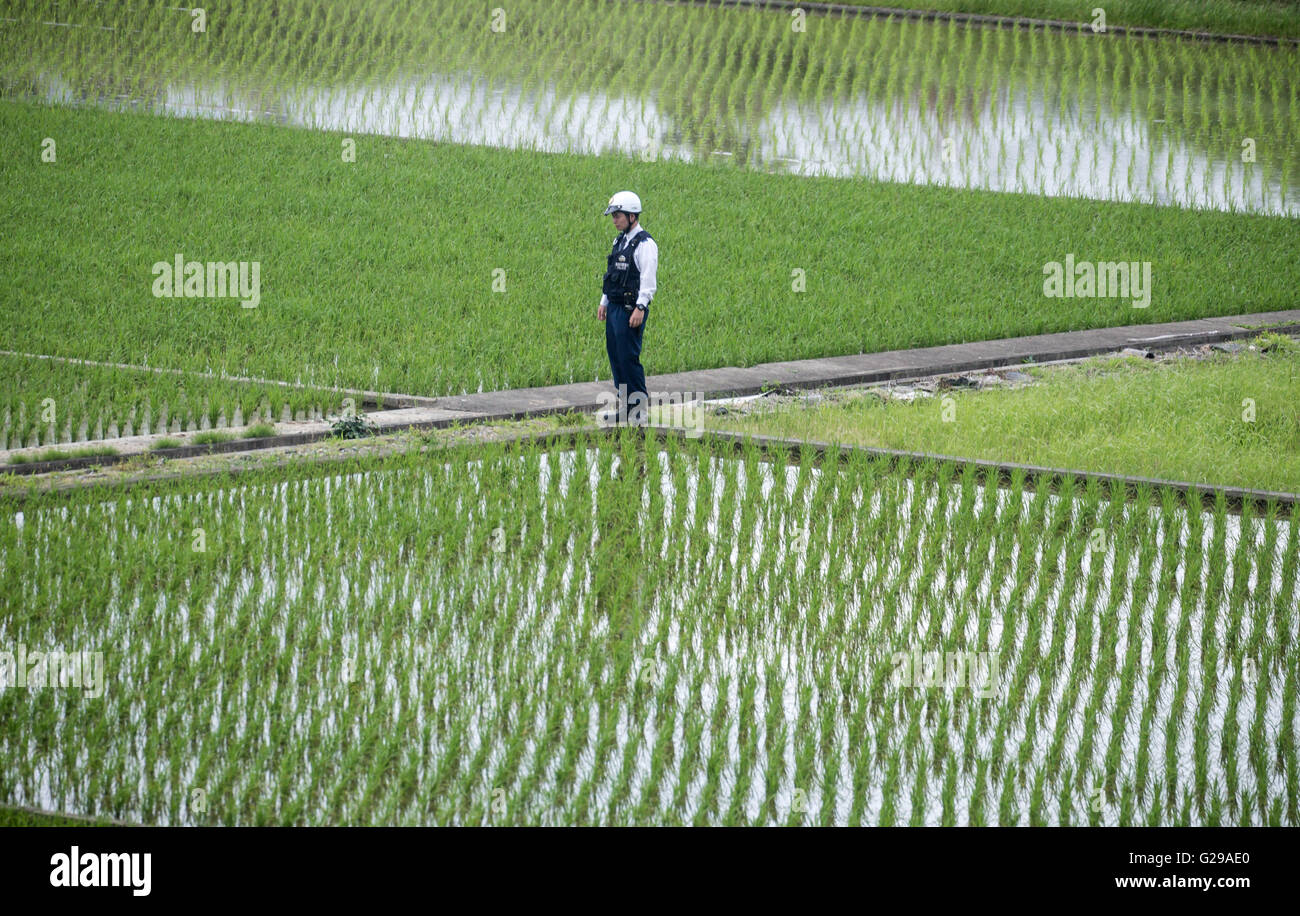 Ise-Shima, Japan. 26th May, 2016. A policeman in a rice field near Ise ...