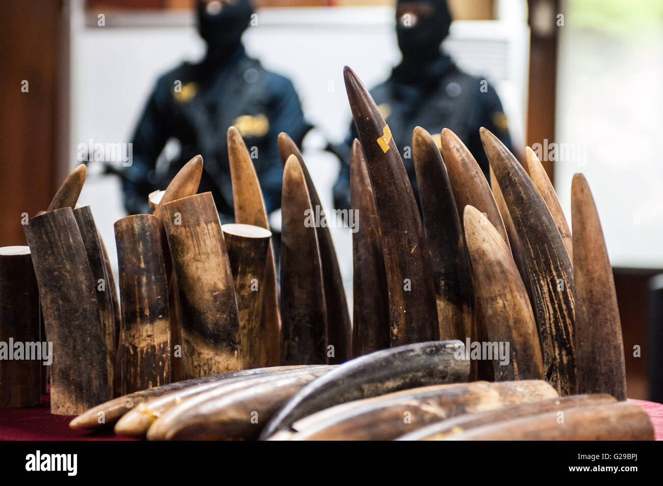 Airport customs hi-res stock photography and images - Alamy