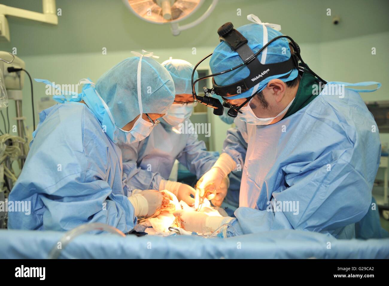 Charity programs hi-res stock photography and images - Alamy