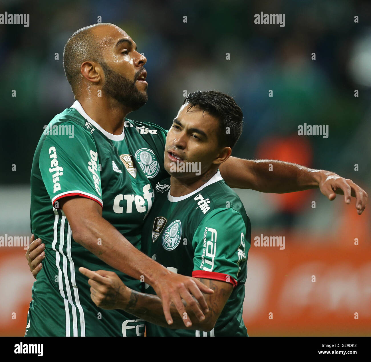 SAO PAULO, Brazil - 25/05/2016: PALM X FLUMINENSE - The Alecsandro ...