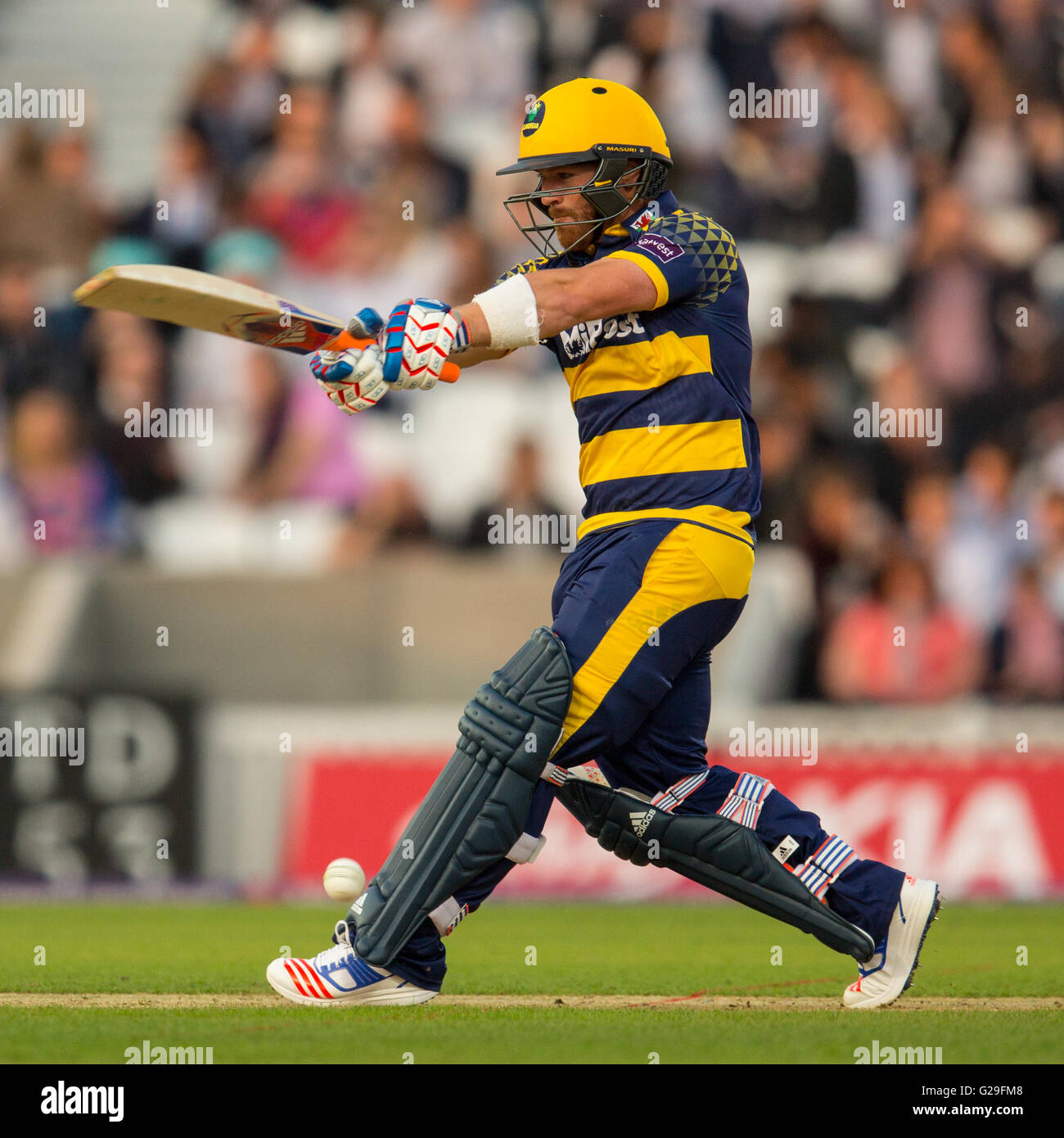 Cricket david lloyd hi-res stock photography and images - Alamy