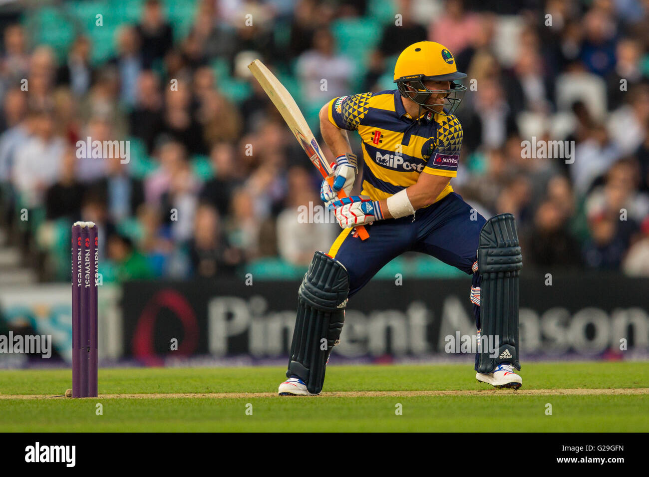 David lloyd cricket hi-res stock photography and images - Alamy