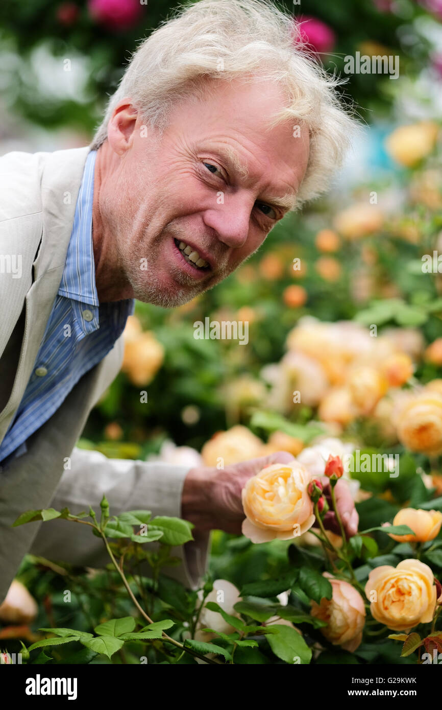Roses on display hi-res stock photography and images - Alamy