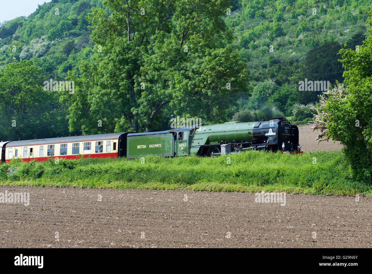 Belmond british pullman victoria hi-res stock photography and images ...