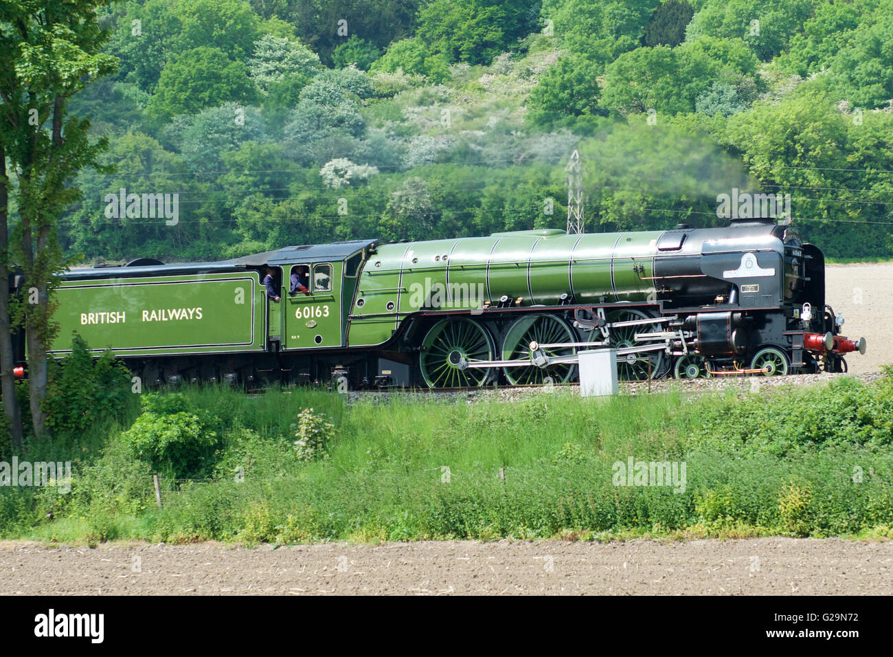 Belmond british pullman victoria hi-res stock photography and images ...