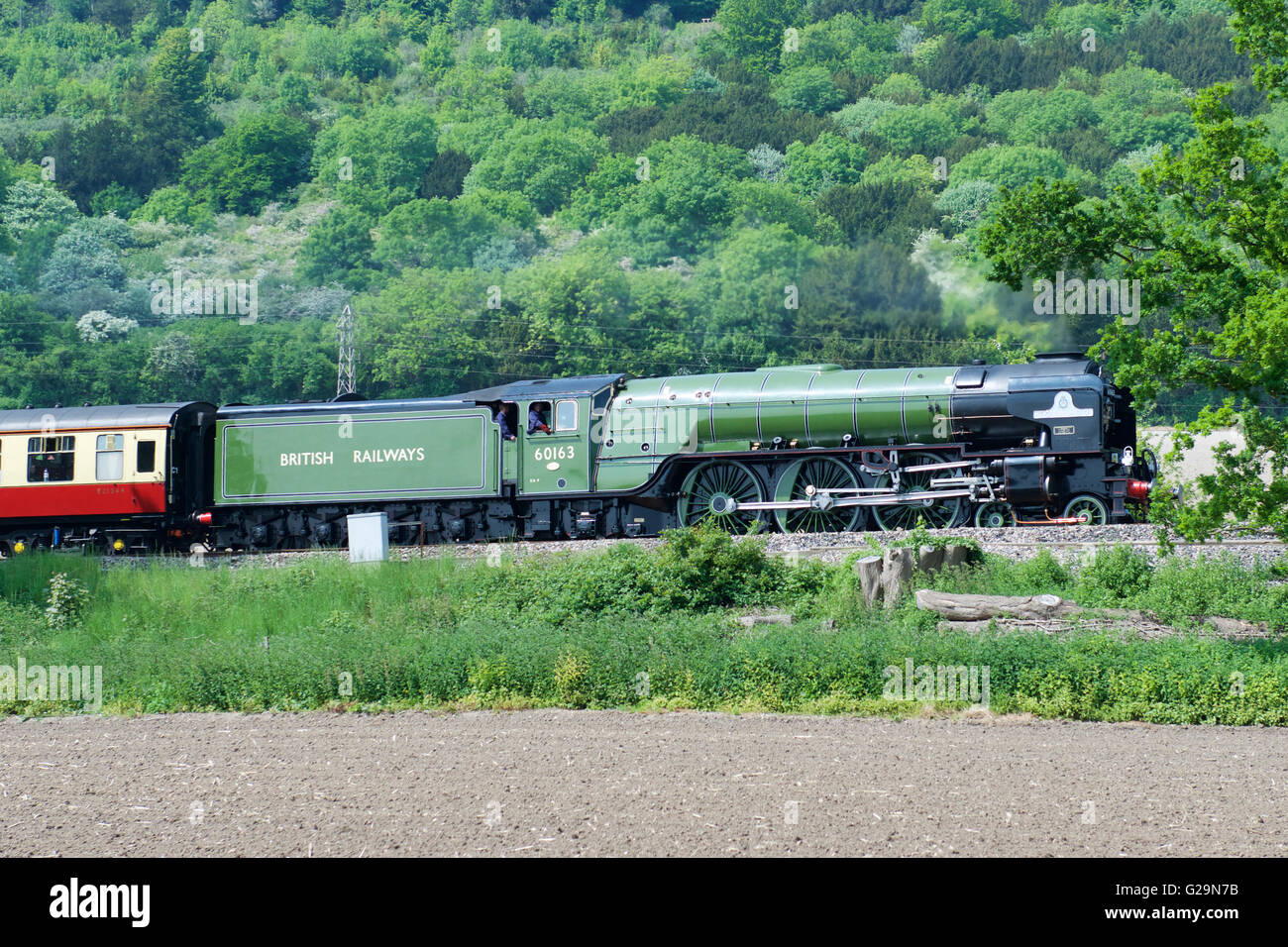 Belmond british pullman victoria hi-res stock photography and images ...