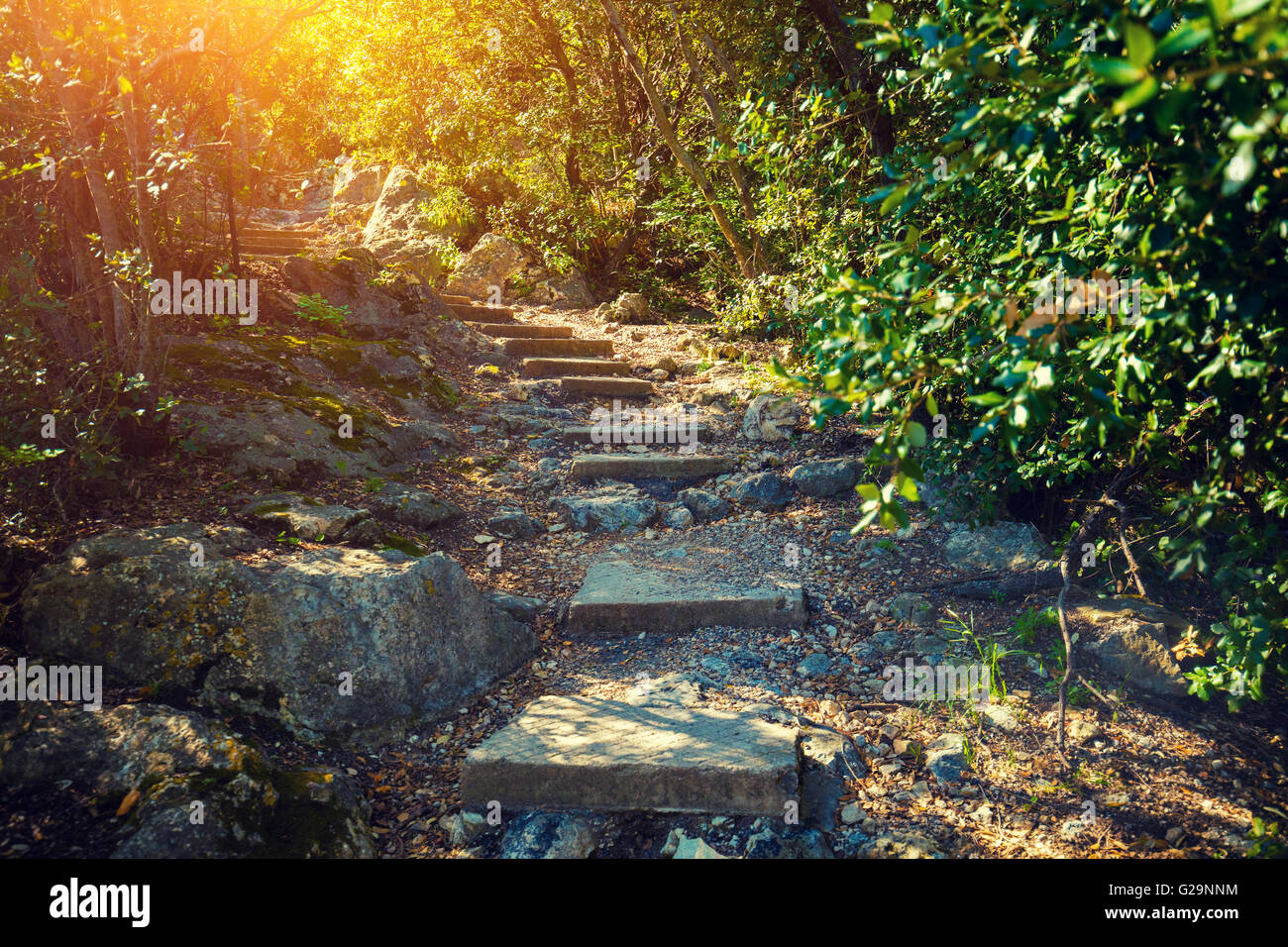 Footpath to village hi-res stock photography and images - Alamy